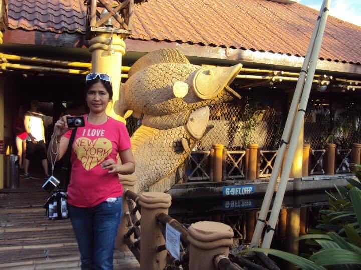 Married at First Sight - Chapter 2319 Novel & PDF Online by Gu Lingfei ...