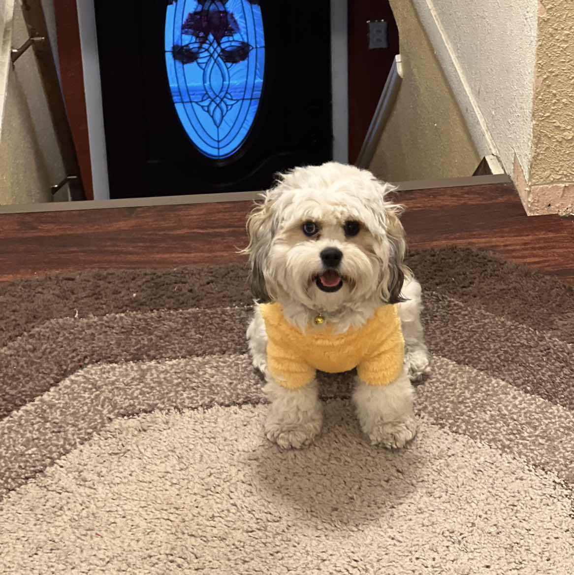 Married at First Sight - Chapter 616 Novel & PDF Online by Gu Lingfei ...