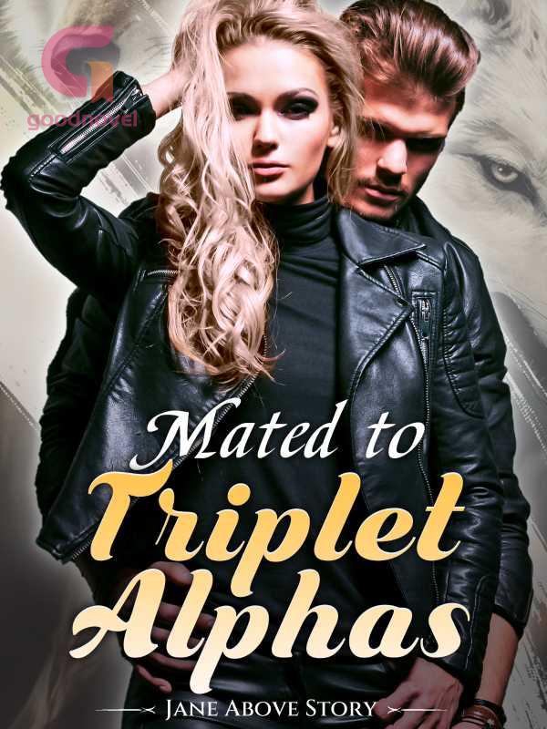 Mated to Triplet Alphas PDF & Novel Online by Jane Above Story to Read for Free - Werewolf ...