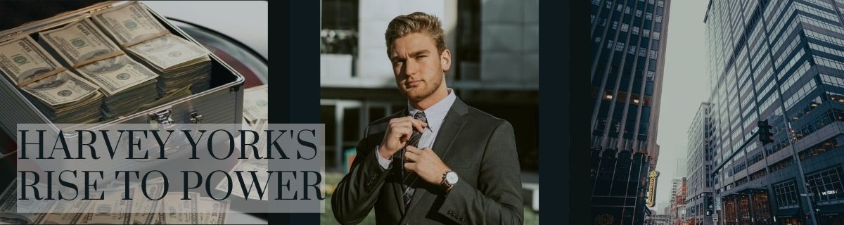 Book Review: Harvey York's Rise to Power Novel by A Potato-Loving Wolf ...